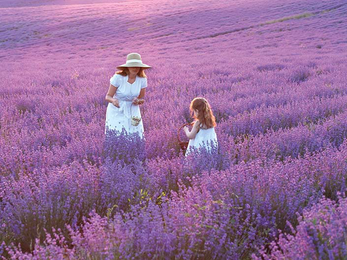 Üyelere Özel Teklifler | Qatar Airways